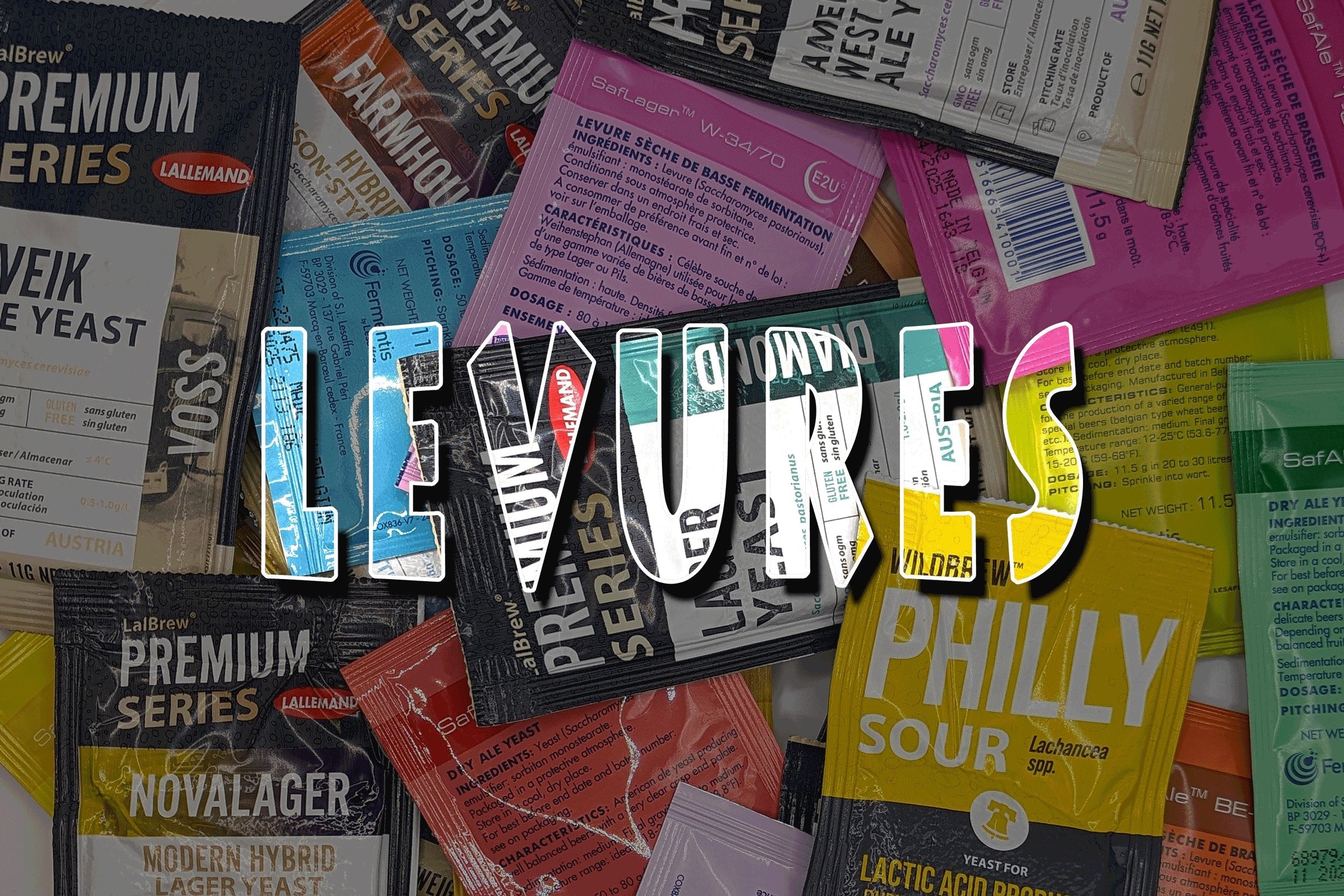 Toutes les levures sèches - Le Fermenteur