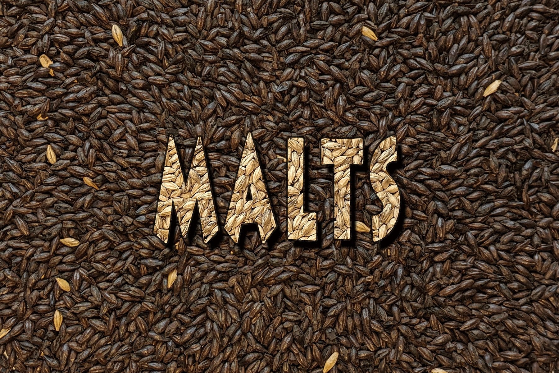 Tous les malts - Le Fermenteur