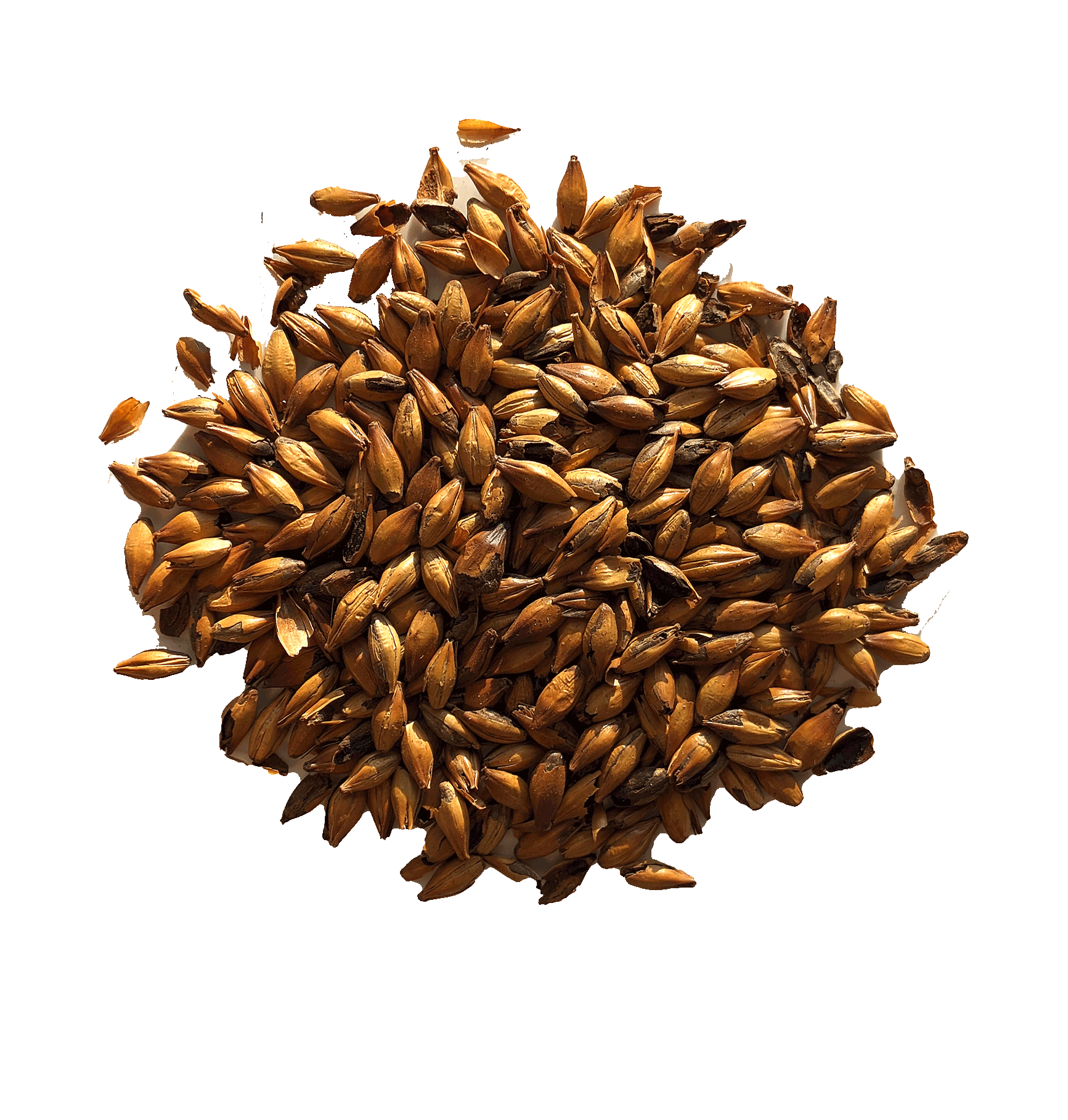 Malts spéciaux - Le Fermenteur
