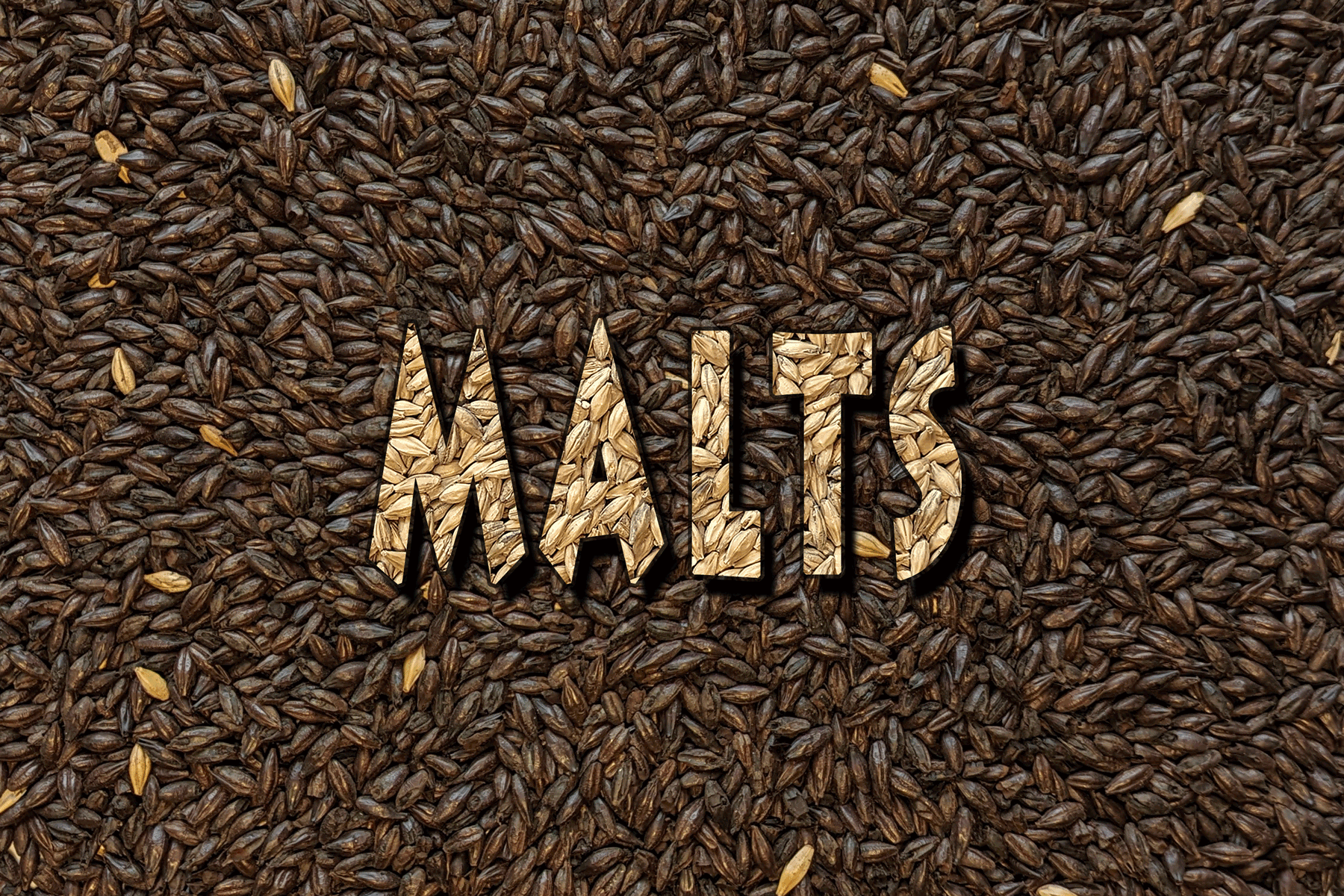Tous les malts - Le Fermenteur